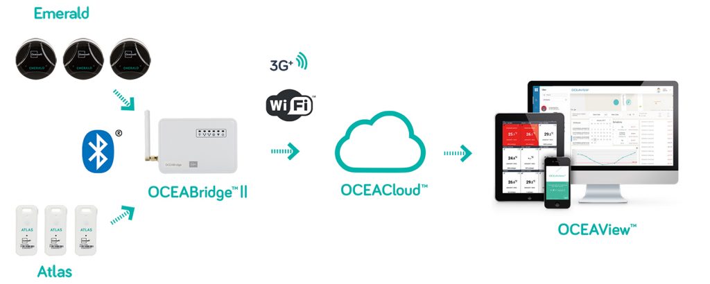 ECEASOFT模拟PT100用于翡翠的温度传感器 - Kenelec Scientific
